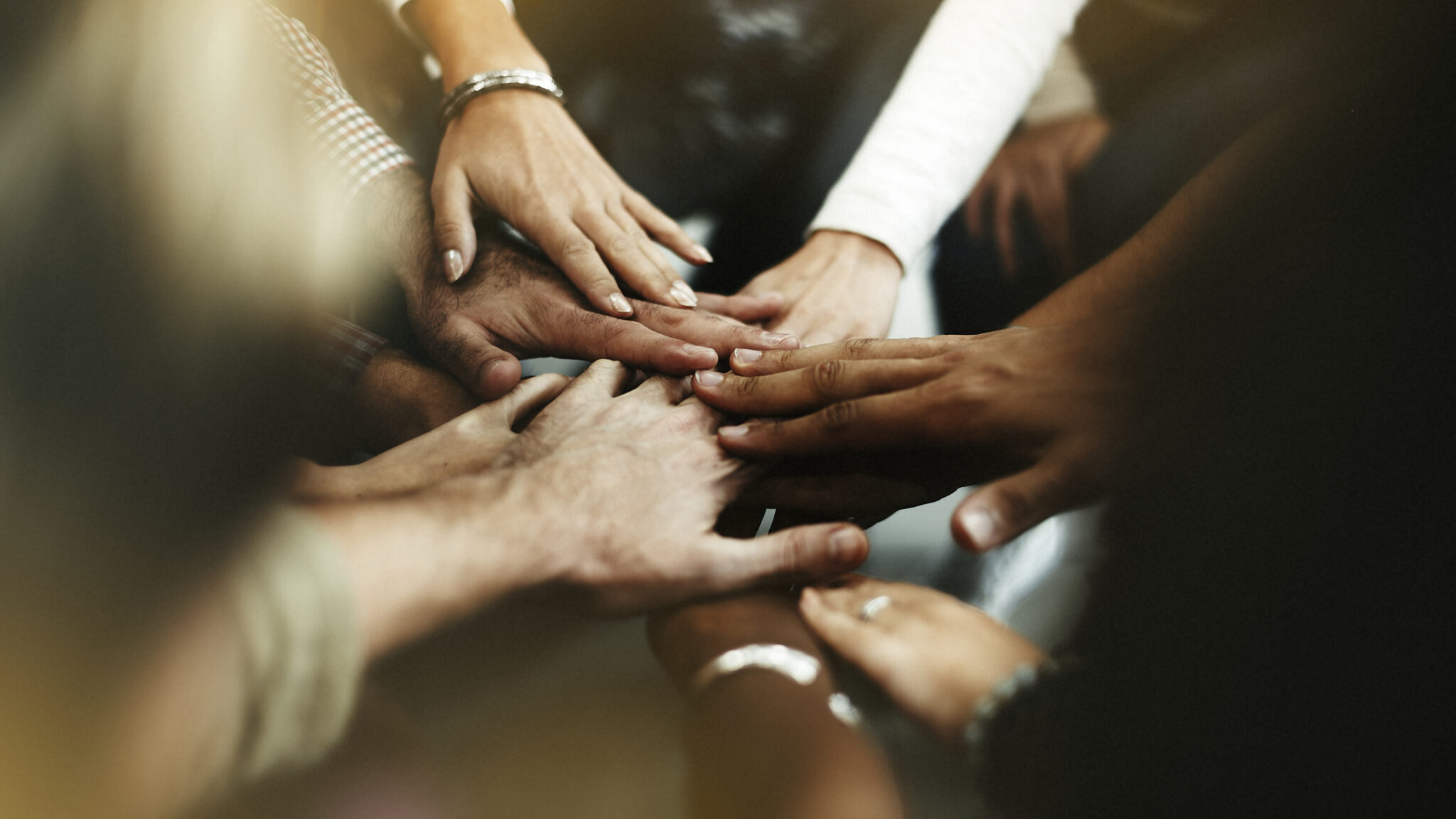 The Importance of Embracing Diversity and How to Do It - 5P Global Movement
